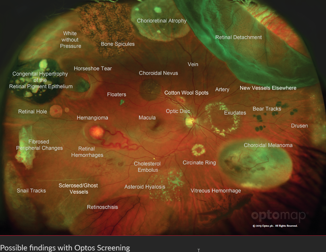 Crystal PM Patient Forms